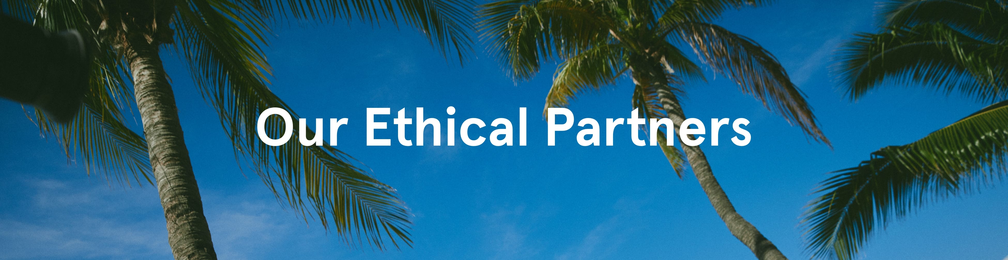 Sustainability Ethical Responsibility | Glassons